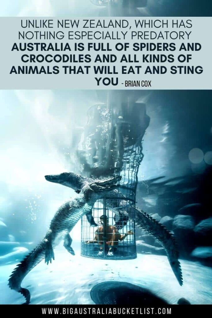 50+ Quotes About Australia To Inspire Your Travels | Big Australia ...