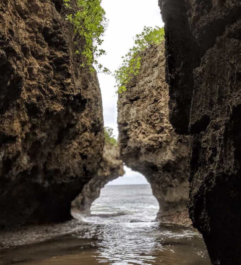 Travel To Christmas Island: A Complete Visitors Guide | Big Australia ...